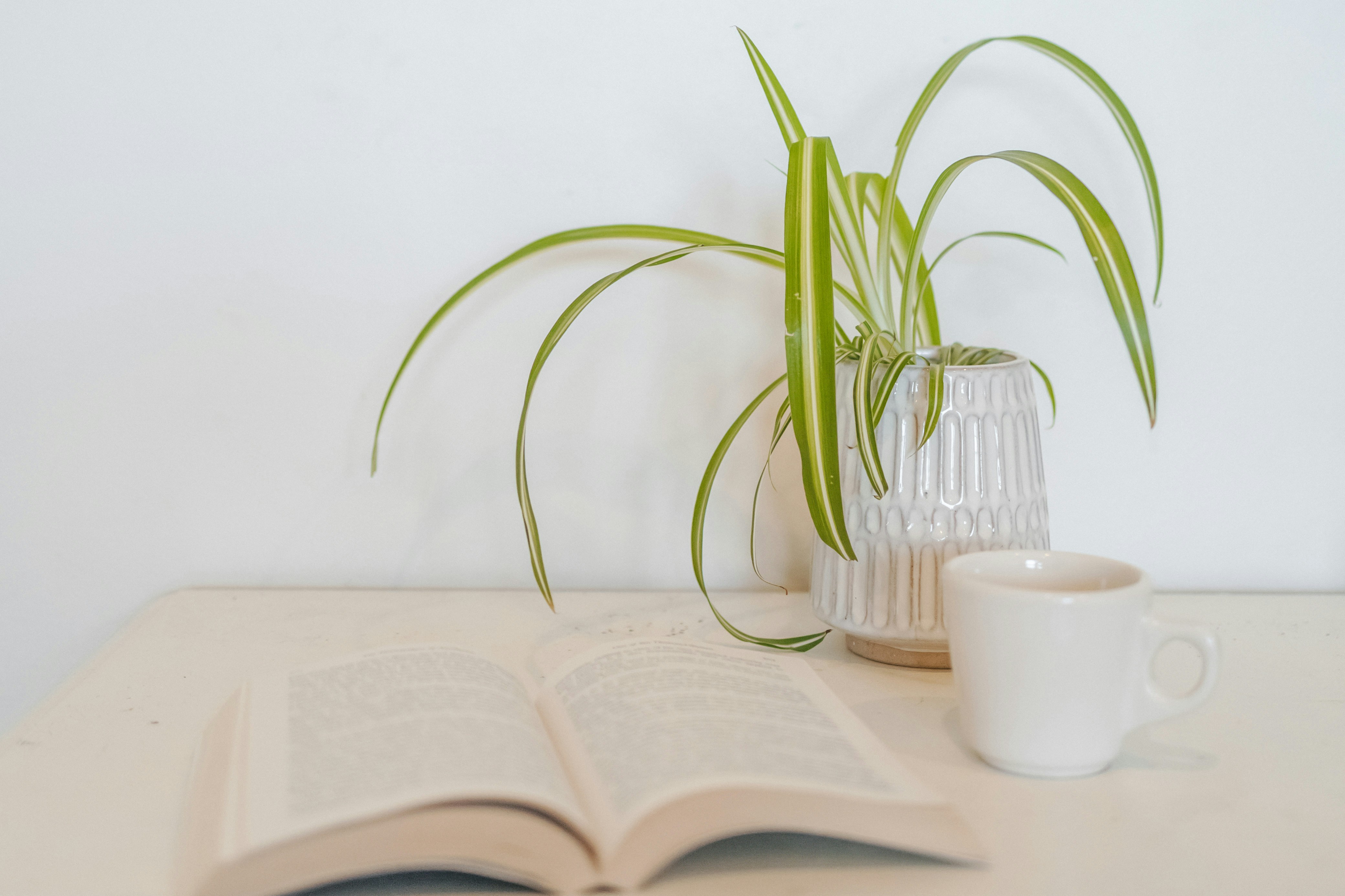 Read the Bible | Week 1